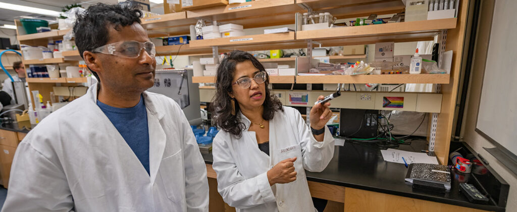 Ph.D. Programs | Department of Chemistry | Clark University