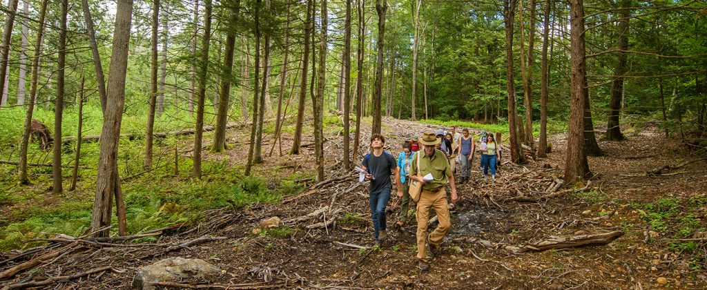 Interdisciplinary Program in Environmental Science | Clark University