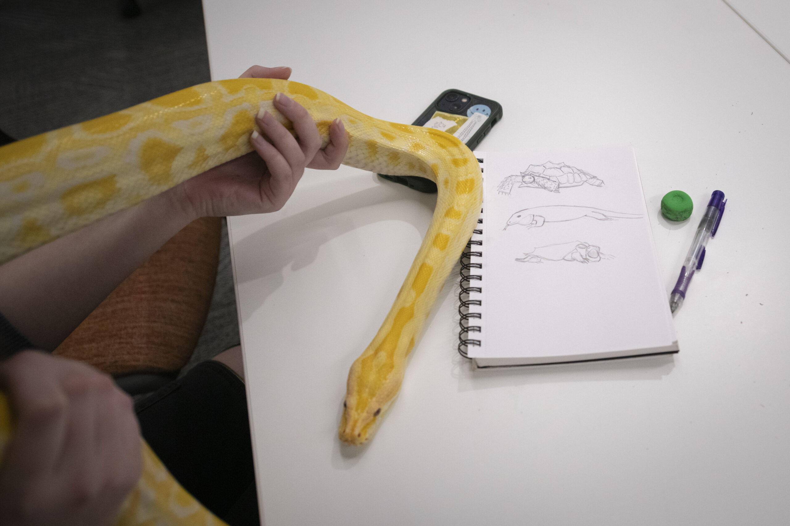 Photo essay: Reptiles visit Clark | ClarkU News