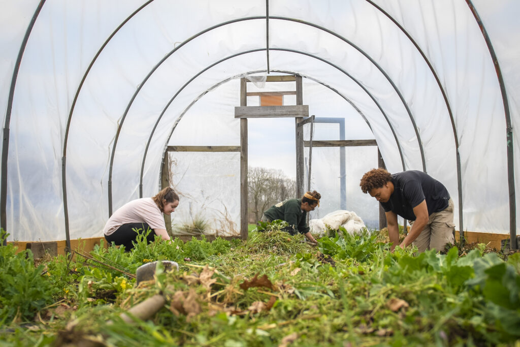 Harvesting lessons from a farming master class | ClarkU News