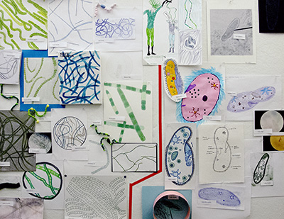Biology Art